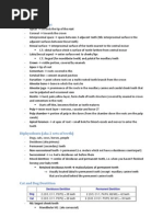 RPI and RPA Concept | PDF | Dentures | Dentistry Branches