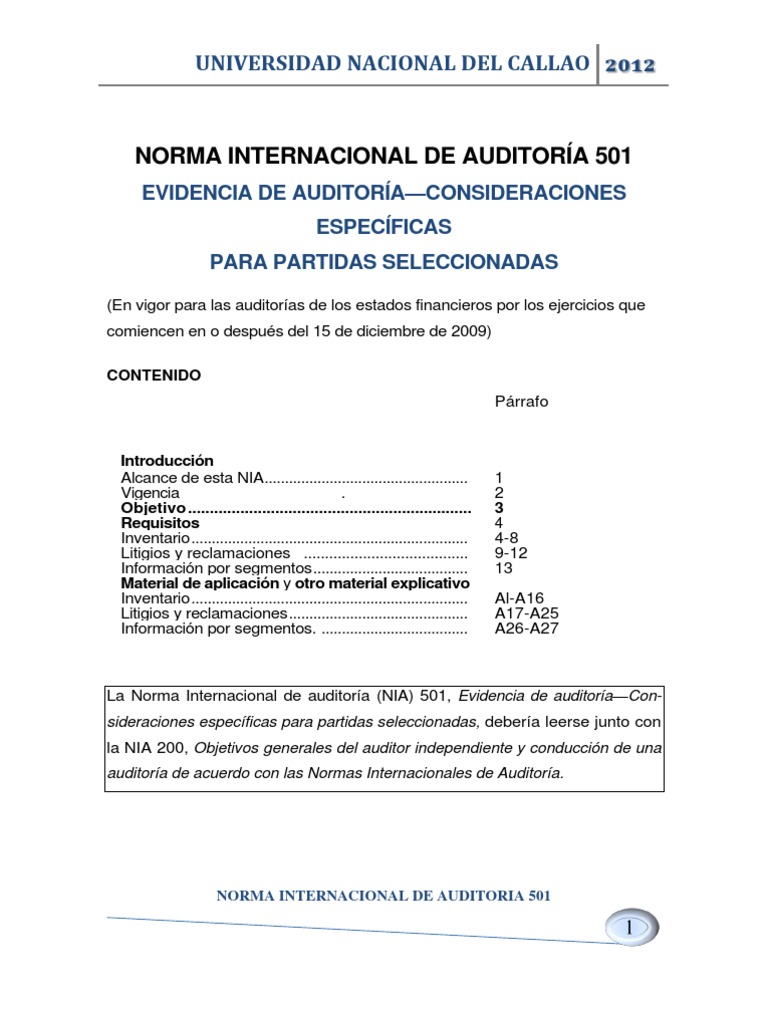 NIA 501 | Contralor | Auditoría financiera