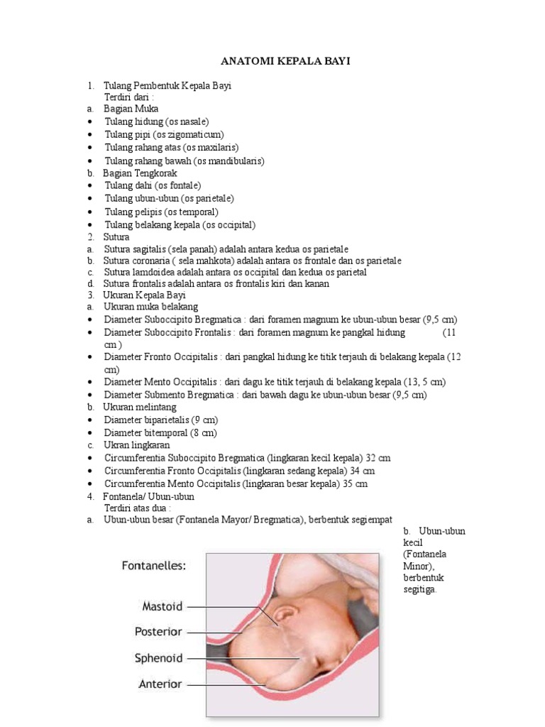Anatomi Kepala Bayi | PDF