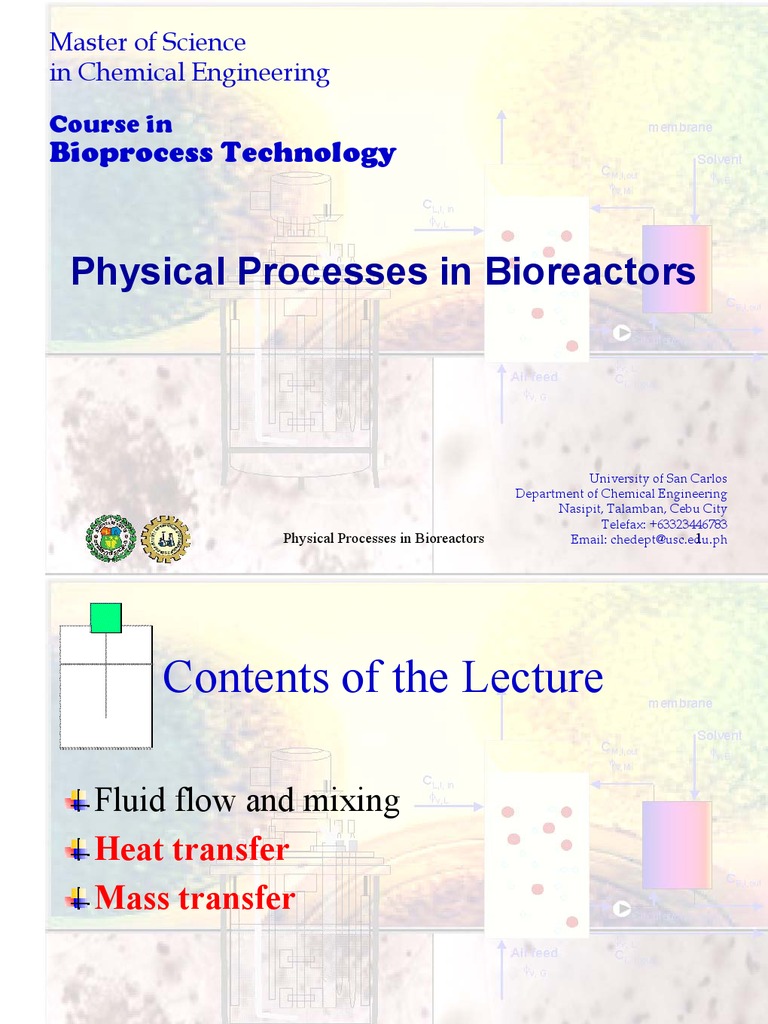 Physical Processes in Bioreactors: Bioprocess Technology | PDF ...