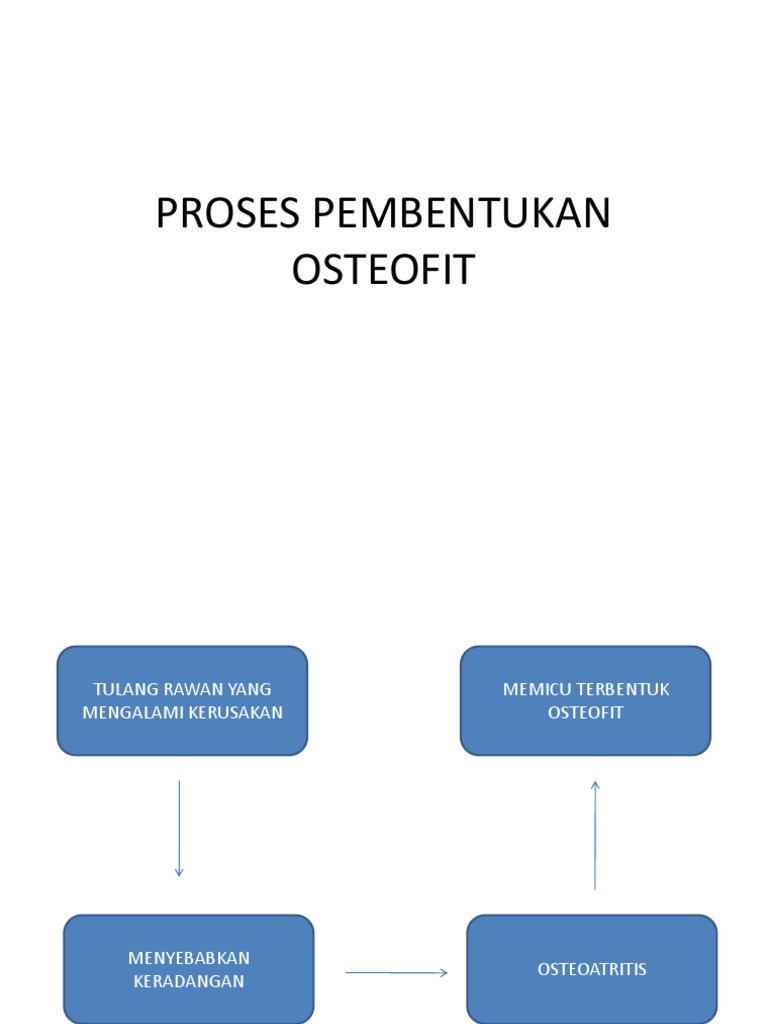 Proses Pembentukan Osteofit | PDF | Sains & Matematika