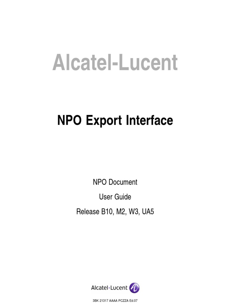 NPO Export Interface | PDF | Oracle Database | Databases
