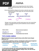 Struktur Dan Sifat Amina | PDF