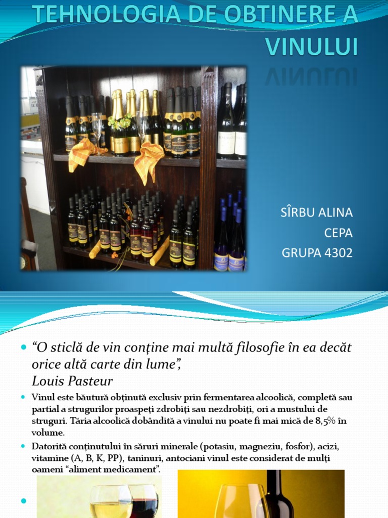 Proiect Vinuri Rosii | PDF