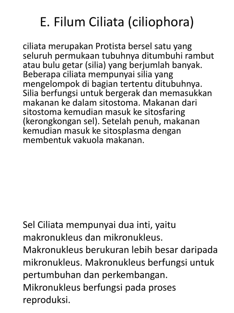 Struktur dan Contoh Filum Ciliata | PDF | Griya & Taman | Kesehatan ...