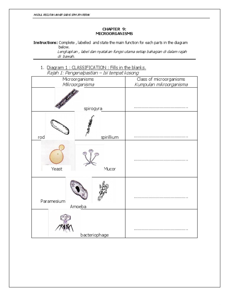 Microorganisms in SPM Science Form 5 | PDF | Public Health | Medicine