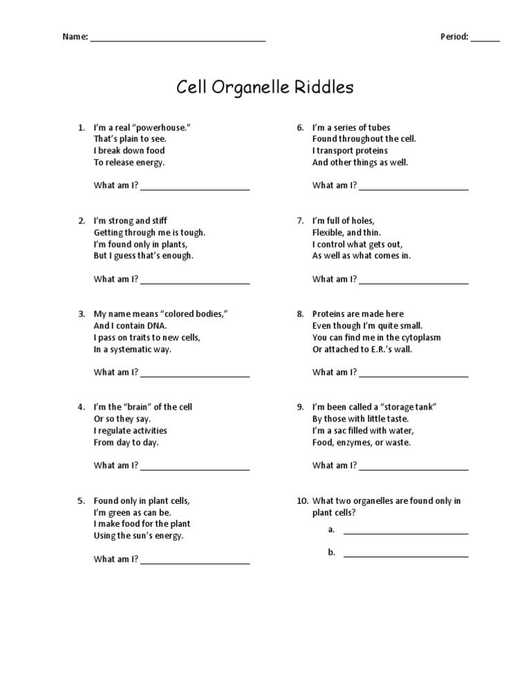 Cell Organelle Riddles | Cell (Biology) | Biochemistry