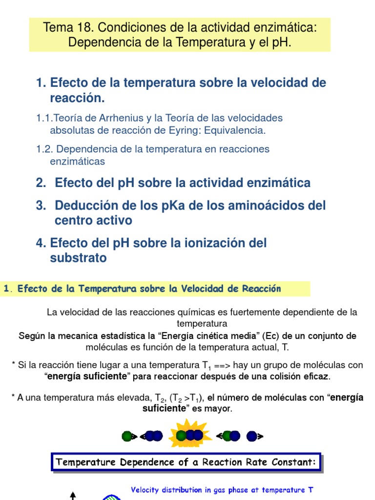 Cine Tica | PDF | Enzima | Equilibrio químico