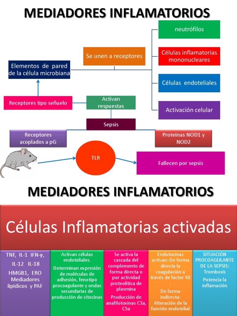 MEDIADORES INFLAMATORIOS | Inflamación | Citocina