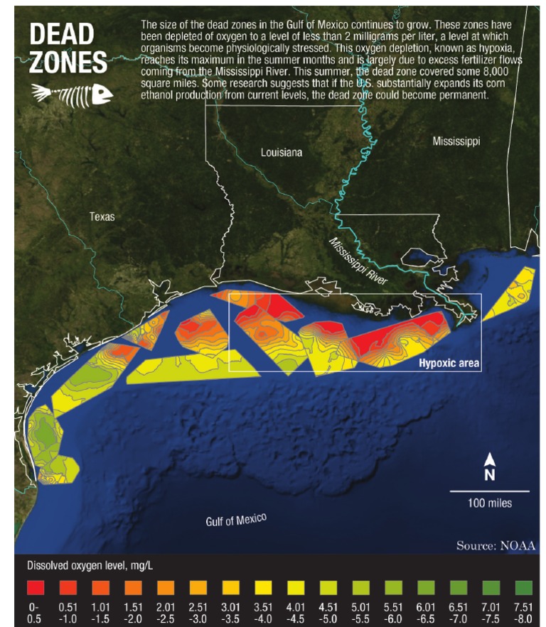 Dead Zones in The Gulf of Mexico | PDF | Dead Zone (Ecology) | United ...