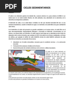Ciclo Del Calcio | PDF | Calcio | Roca (geología)