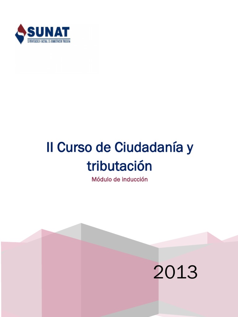Modulo de Induccion 0 Plataforma | PDF