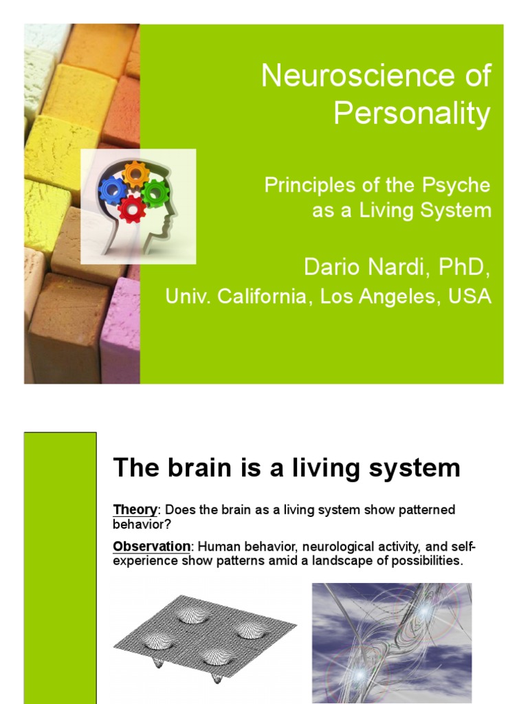 Neuroscience of Personality | PDF | Stimulus (Physiology) | Emotions