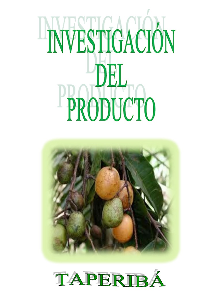 Taperiba PARA EXPONER | PDF | Compañía de responsabilidad limitada ...