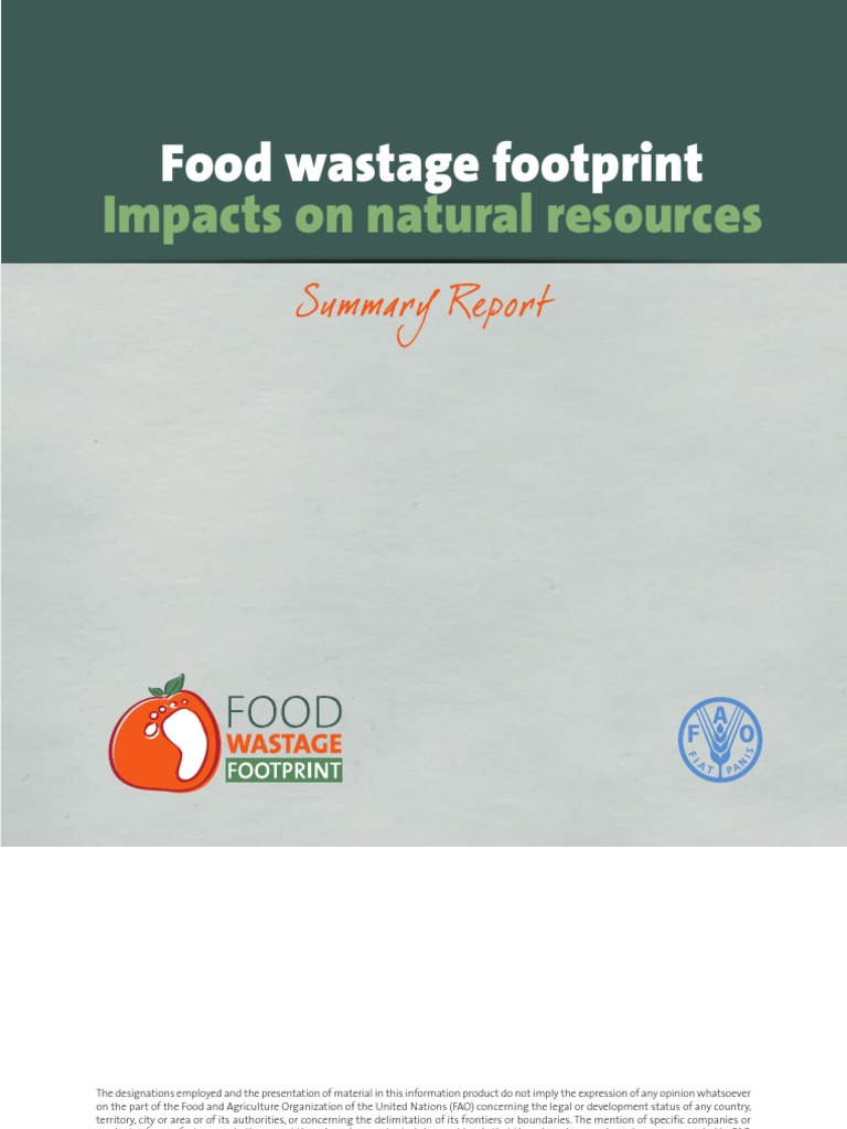 Food Waste Footprint Report | PDF