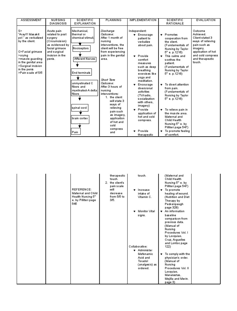 Acute Pain Ncp Pdf Pain Nervous System