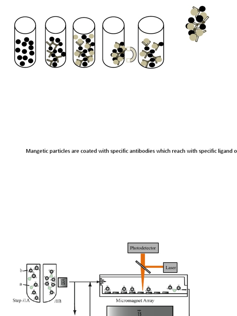 Microfluidic Flow Chamber Design Guide | PDF | Science & Mathematics