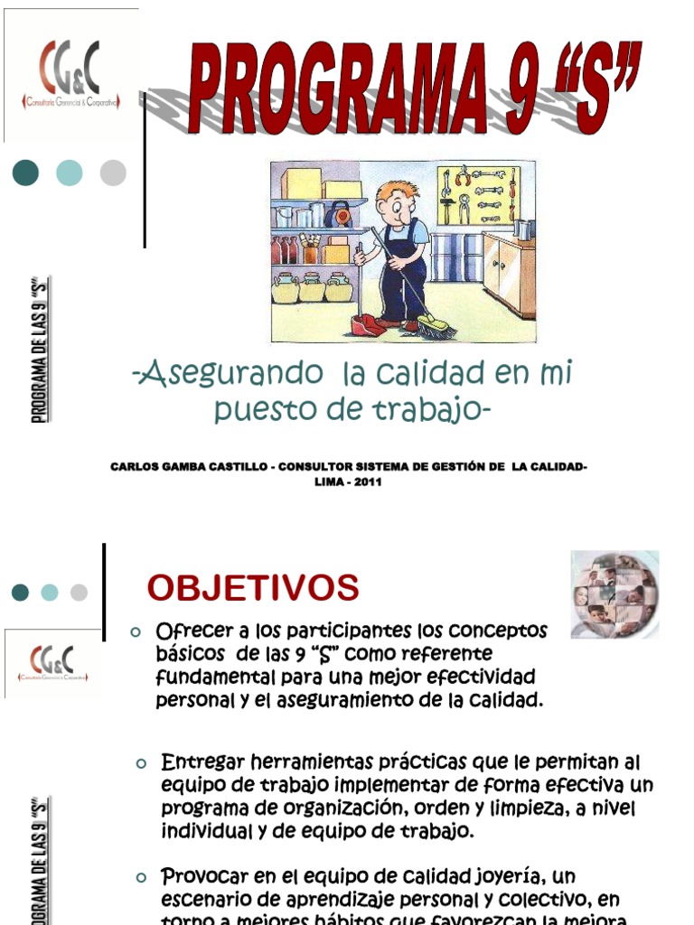 Programa 9s | Descargar gratis PDF | Calidad (comercial) | Negocios (general)