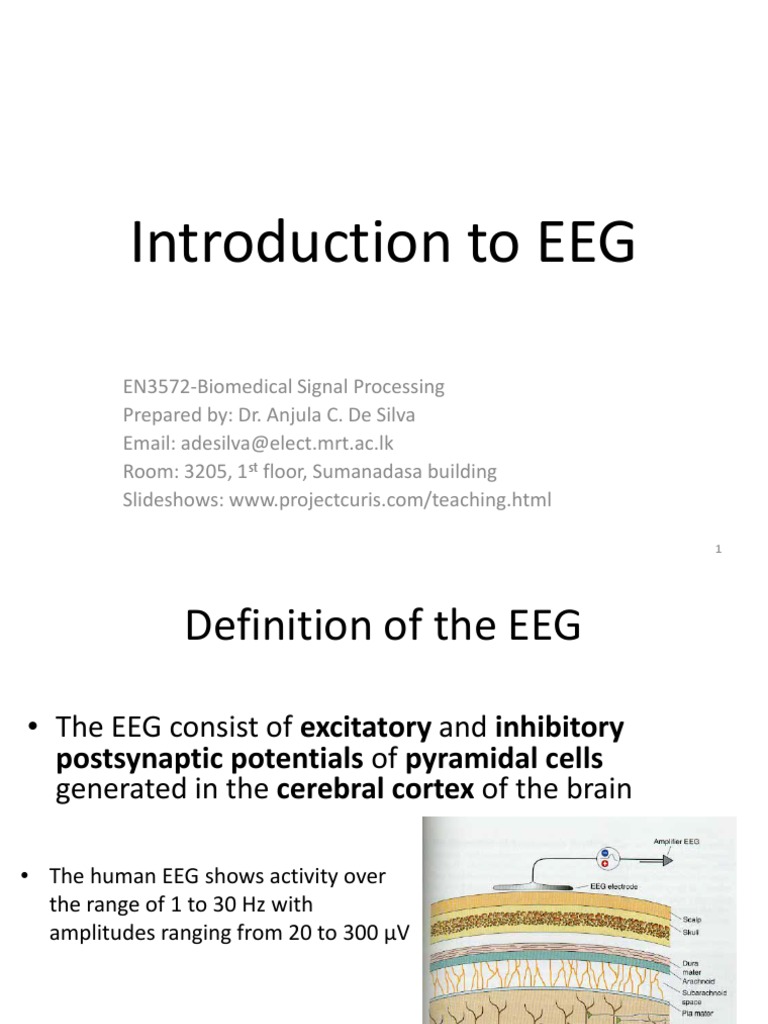 Understanding the Biophysical Basis of EEG: An Introduction to the ...