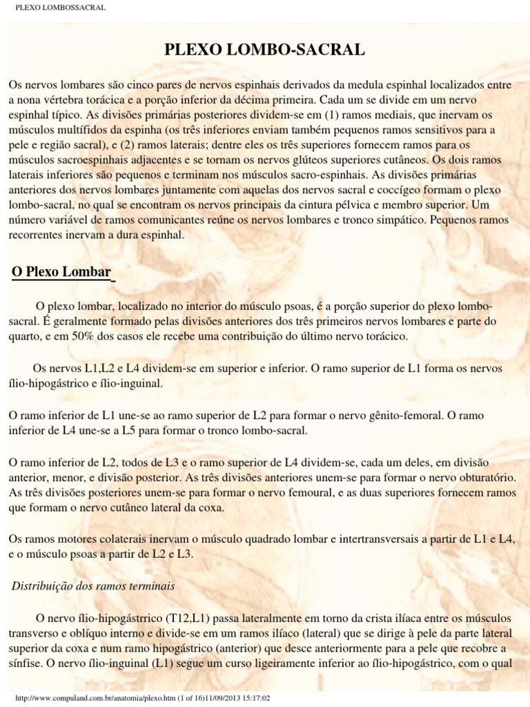 Anatomia e lesões do plexo lombossacral | PDF | Medula espinhal | Nervo