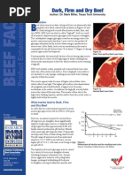 B-MEG Feed Products Overview | PDF | Meat | Pig