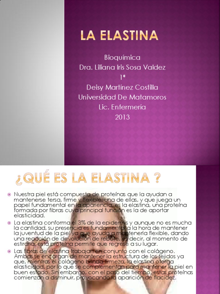 La Elastina | PDF