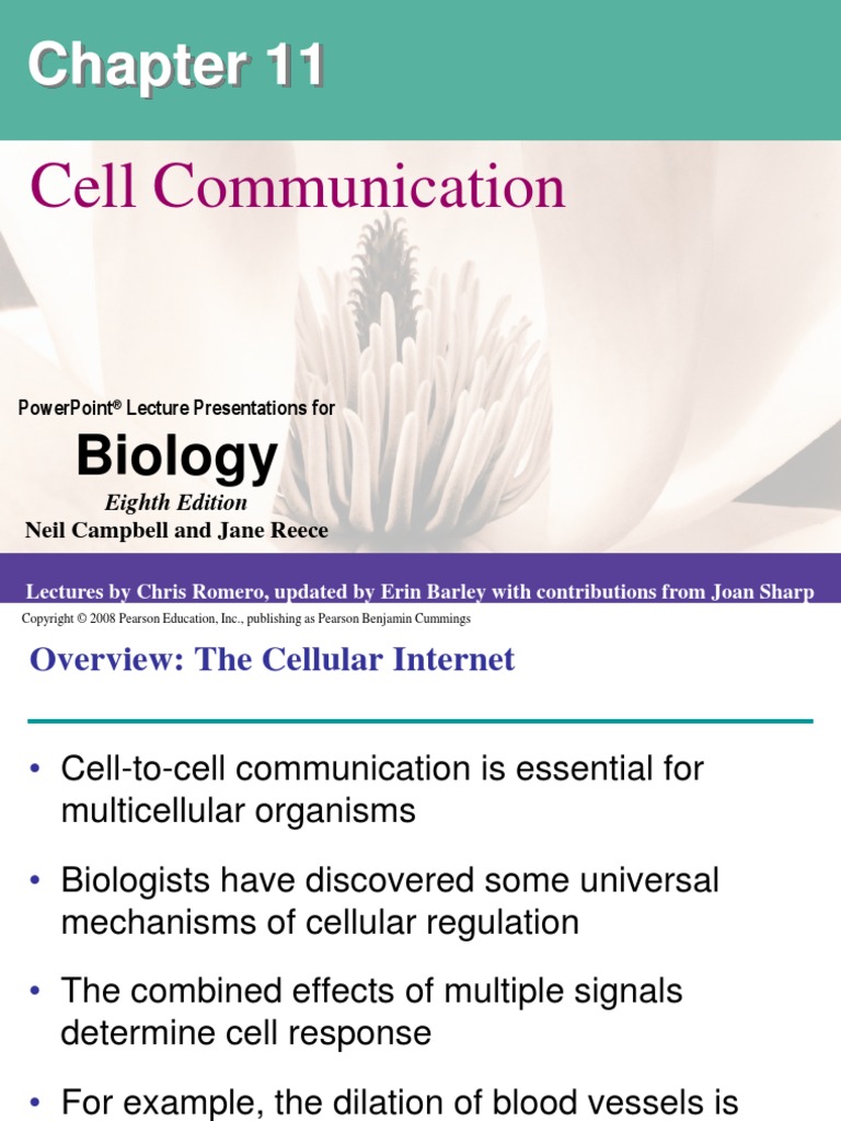 11 Lecture Presentation Pdf Cell Signaling Signal Transduction
