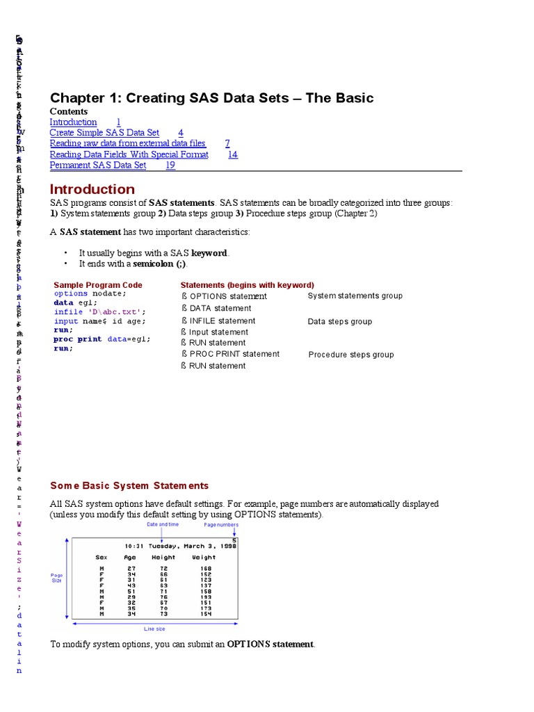 Chapter 1: Creating SAS Data Sets - The Basic | PDF | Sas (Software) | Mean