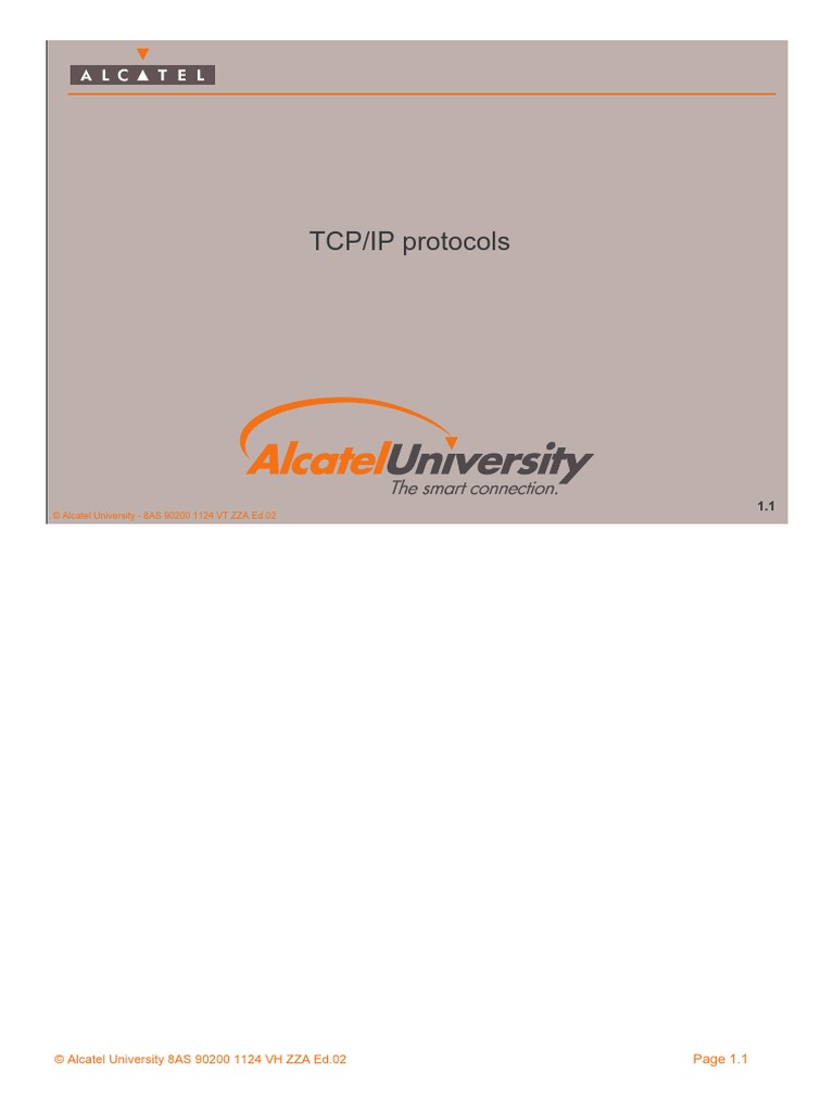 Basic IP PDF | PDF | Internet Protocol Suite | Internet Protocols