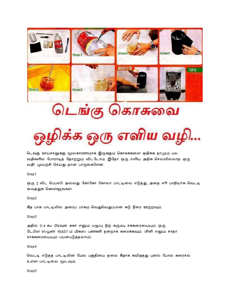 Dengu | PDF