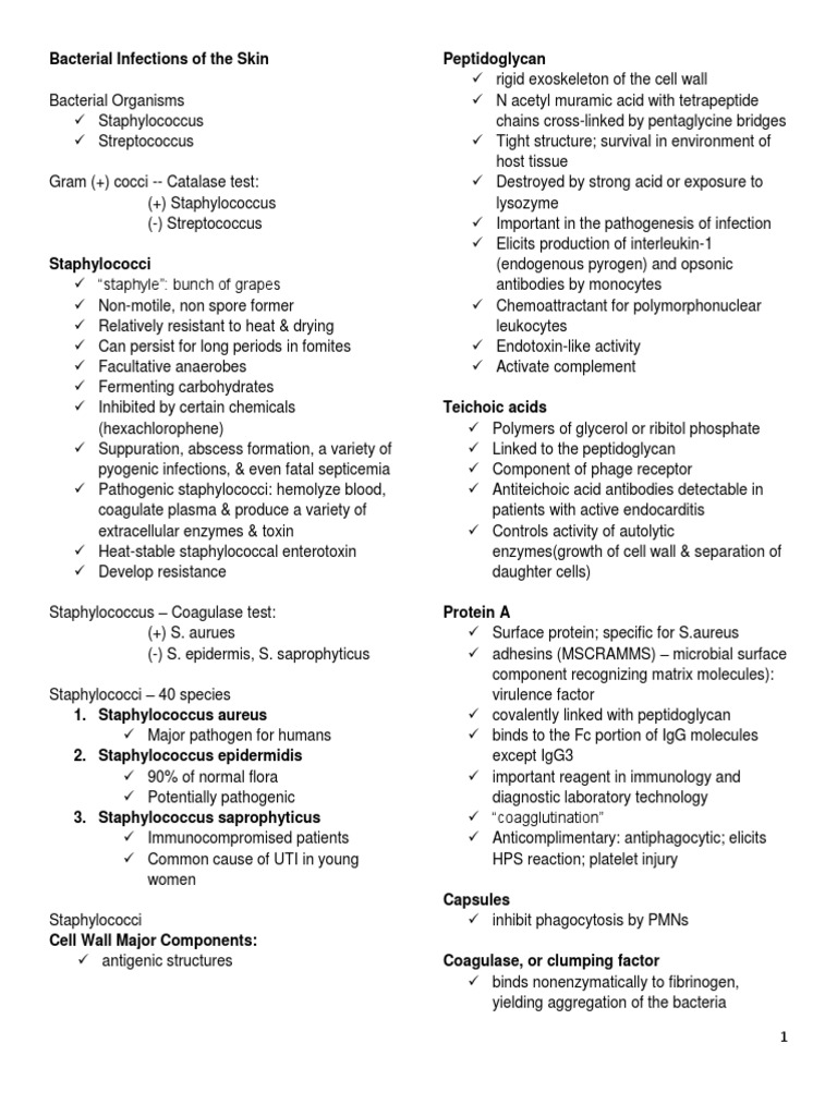 Bacterial Infections of The Skin | PDF | Streptococcus | Staphylococcus