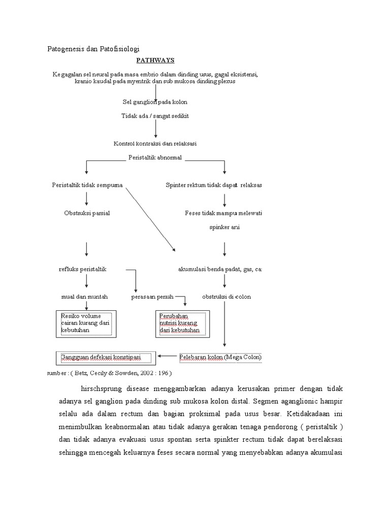Patogenesis Dan Patofisiologi HD | PDF