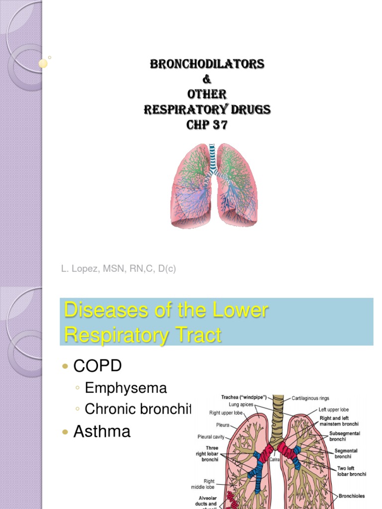 Broncho Dilators | Asthma | Chronic Obstructive Pulmonary Disease
