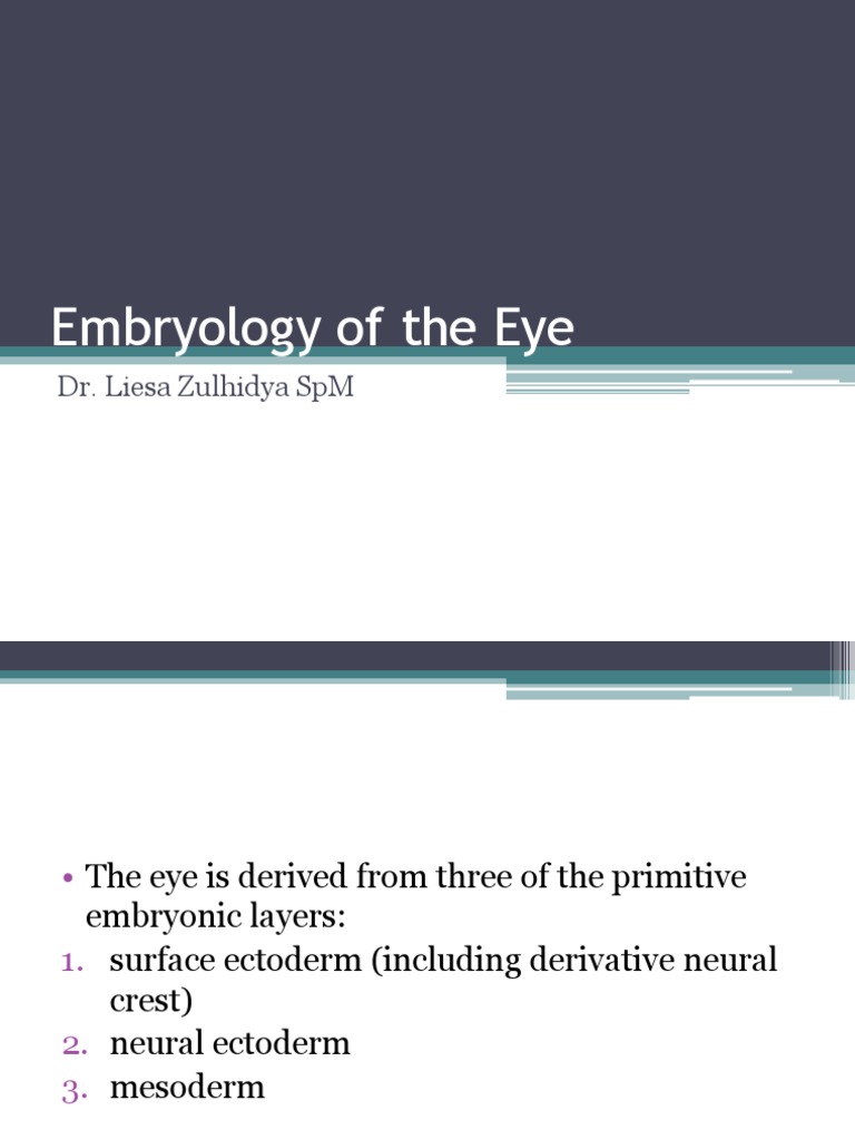 Embryology of The Eye | PDF | Cornea | Human Anatomy