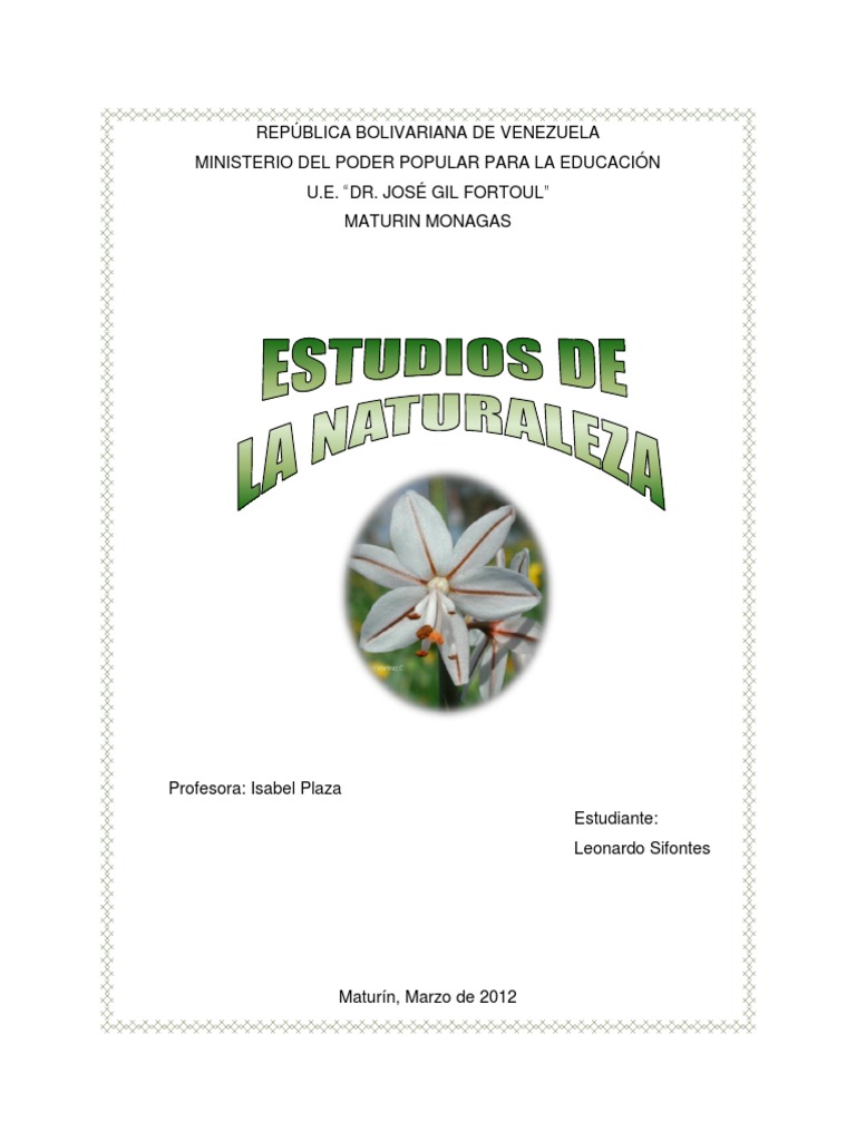 Trabajo de Nutricion de Las Plantas | PDF | Plantas | Hoja