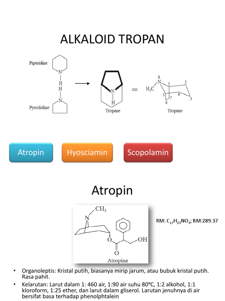 Struktur dan Identifikasi Alkaloid Tropan | PDF