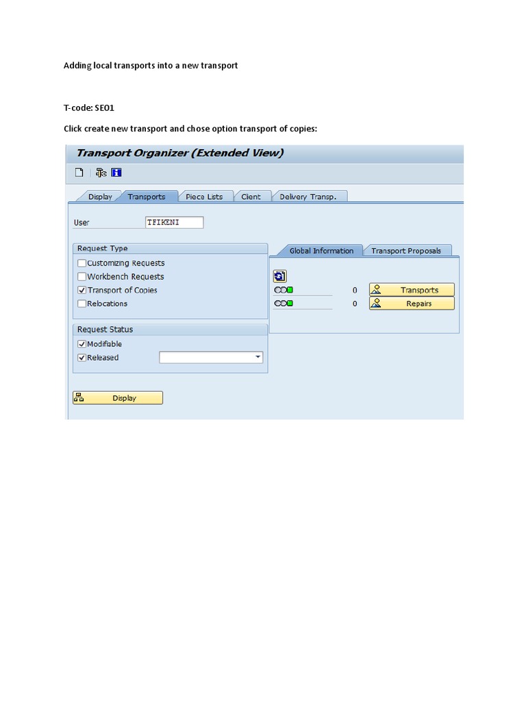 Adding Local Transports Into A New Transport On The Same System | PDF ...