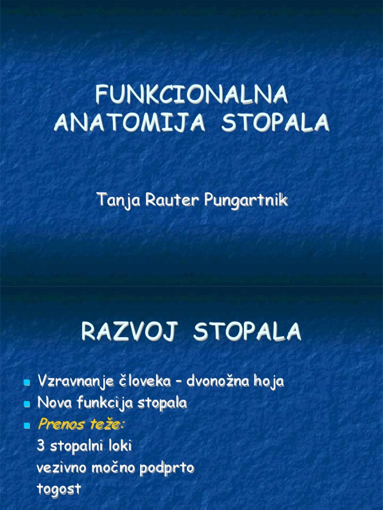 Funkcionalna Anatomija Stopala | PDF
