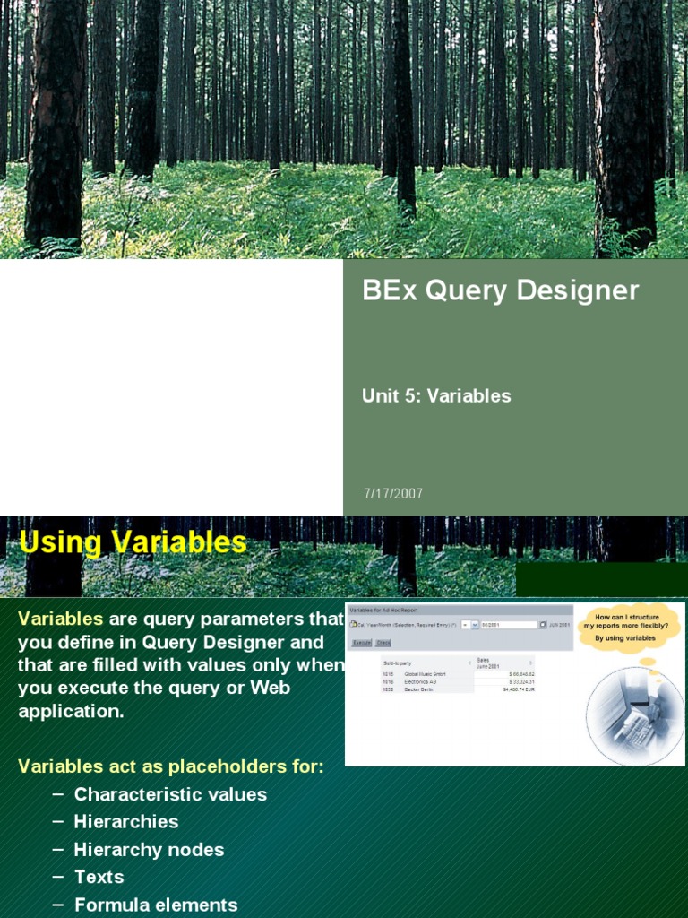 Bi L3 Bex Query Designer Unit 5 Download Free Pdf Variable Computer Science Variable