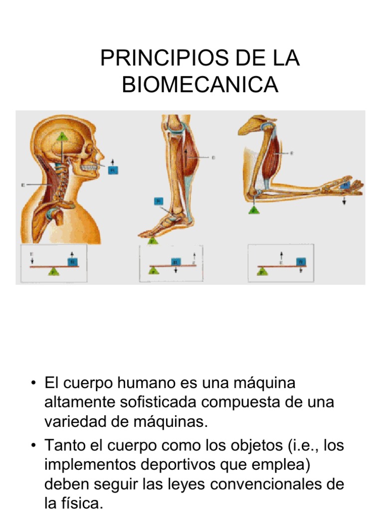 Principios de La Biomecanica