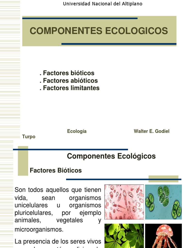 Componentes Ecologicos | PDF | Ecología | Organismos