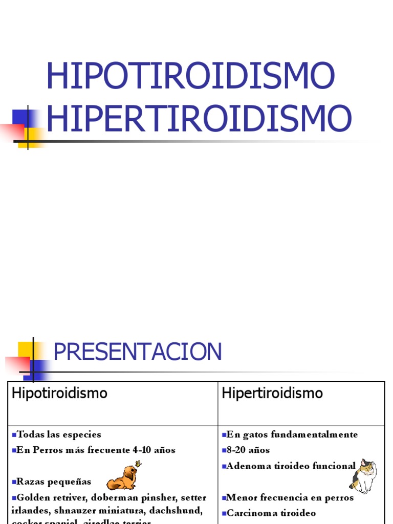 Hipo e Hiper Tiroidismo | PDF | Hipertiroidismo | Tiroides