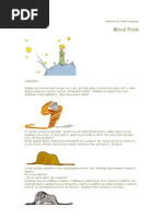 Catalog Mijloace Fixe | PDF