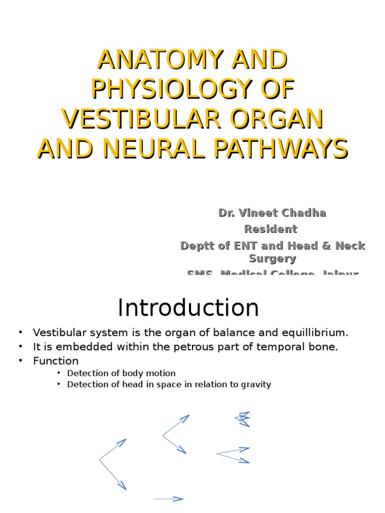 Anatomy and Physiology of Vestibular Organ and Neural | PDF ...