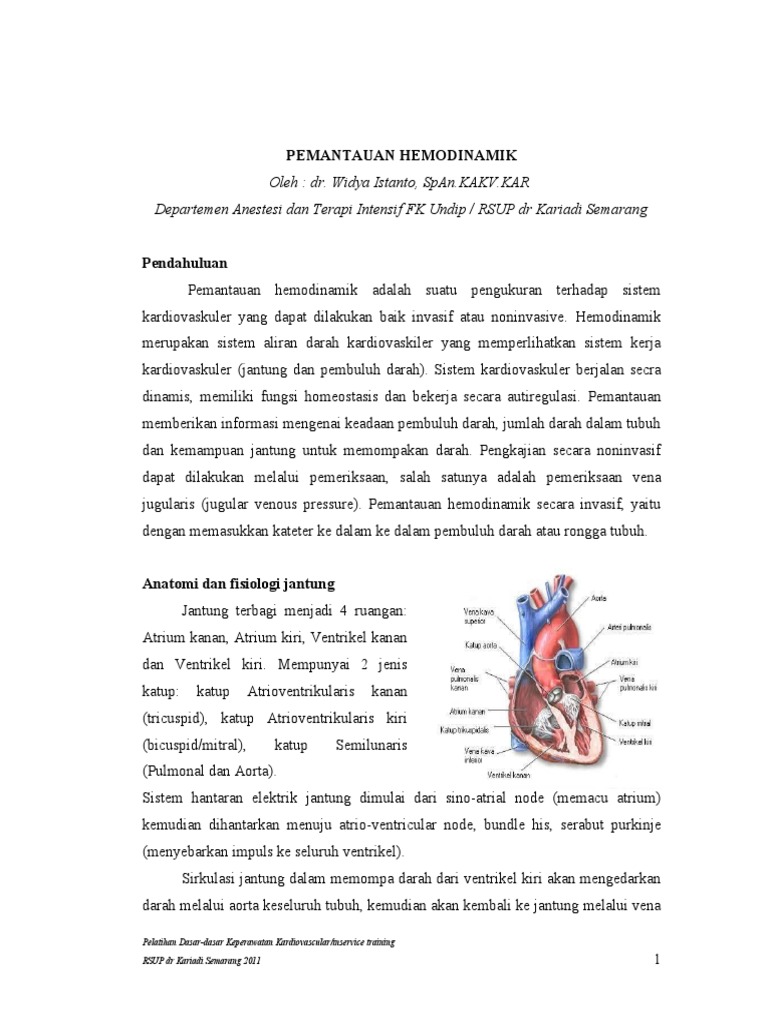 Pemantauan Hemodinamik | PDF