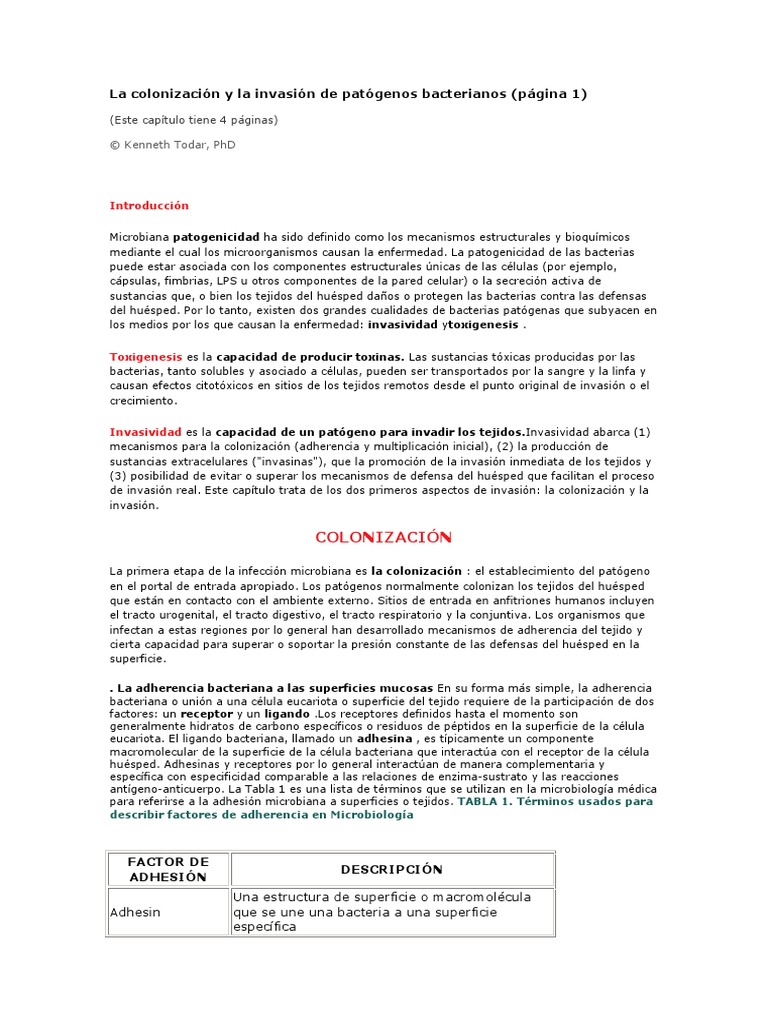 La Colonización y La Invasión de Patógenos Bacterianos | PDF | Las ...