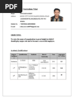 CV For TCS | PDF | Computing And Information Technology | Business