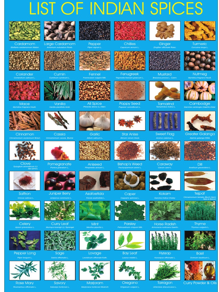 Spice Gallery | PDF