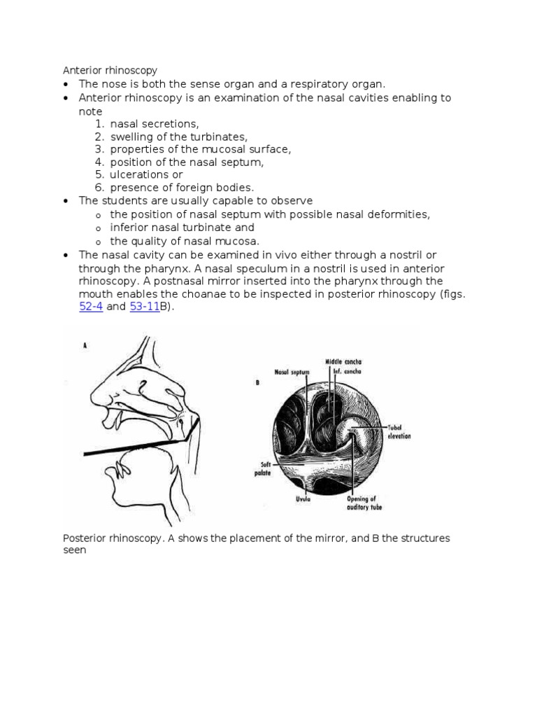 Anterior Rhinoscopy | Larynx | Animal Anatomy