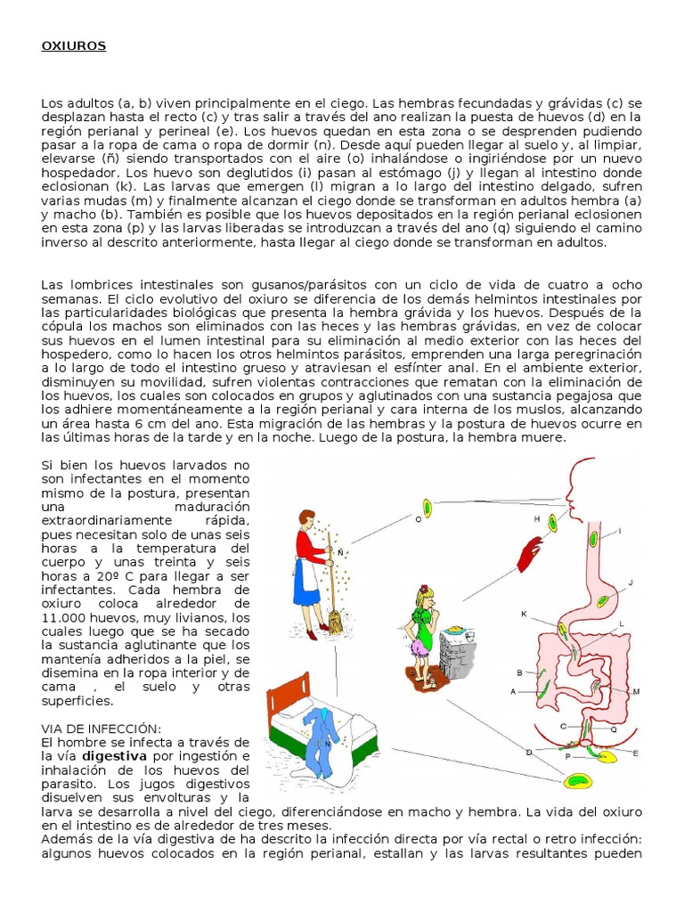Oxiuros | PDF | Bienestar | Medicina
